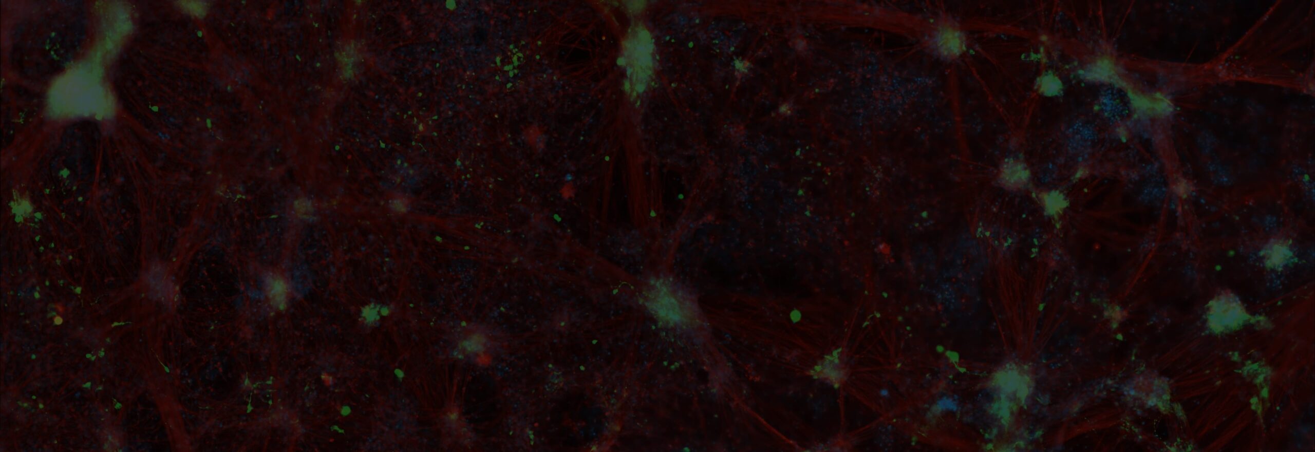 Cryo-EM Core – Van Andel Institute